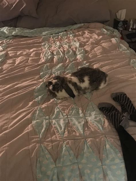 Just Loafin Around Rlagoloaf