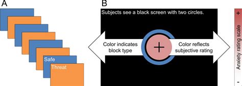 Intraparietal Sulcus Function