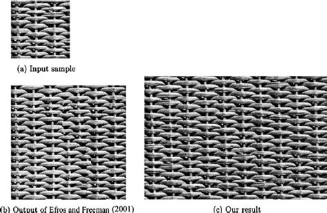 a input texture sample b texture synthesis result from efros and