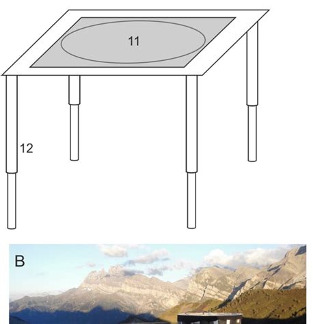 The Experimental Table A Schematic Drawing Of The Experimental Table