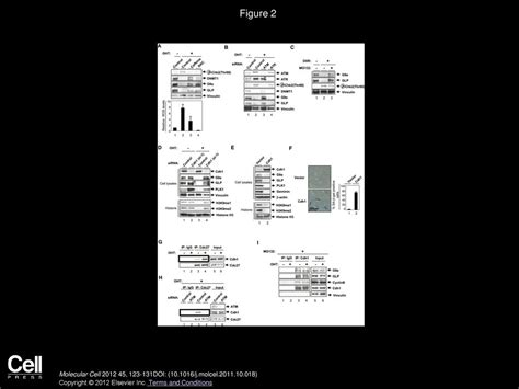 Volume 45 Issue 1 Pages January 2012 Ppt Download