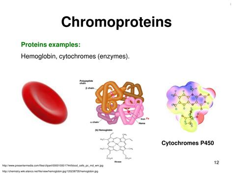 Ppt Structure And Classification Of Proteins Powerpoint Presentation Id 1936435