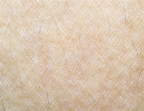 Human Skin Texture Stock Image Image Of Micro Macro