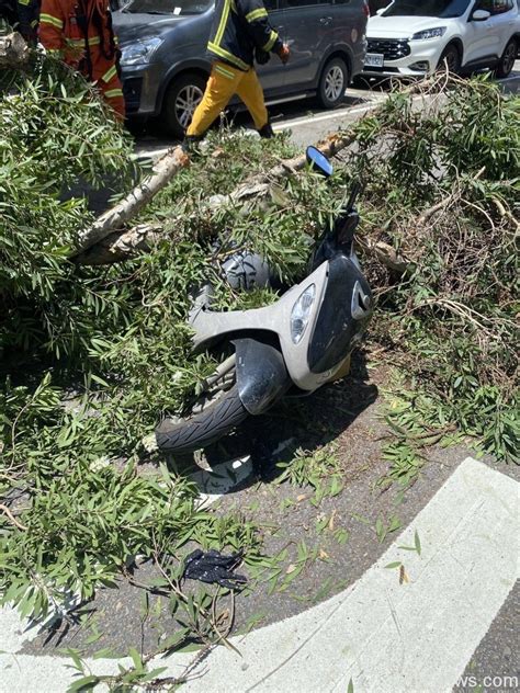 【有片】大貨車不慎撞倒路樹 2名女騎士閃避不及遭擊中