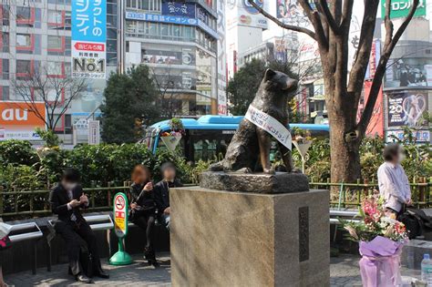 渋谷のシンボル「ハチ公」｜東京都観光ネタ情報 ぶらネタ