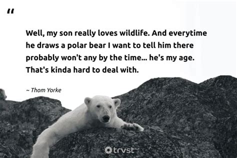 22 Polar Bear Quotes About The King Of The Arctics