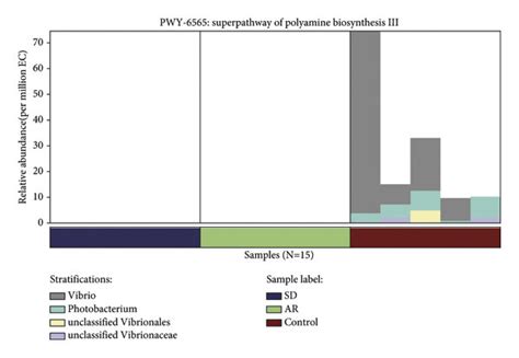 The Species Composition Analysis Of Intestinal Microflora In The AR
