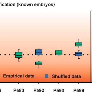 Cc Classification Results Of The Second Experimental Stage Download Scientific Diagram