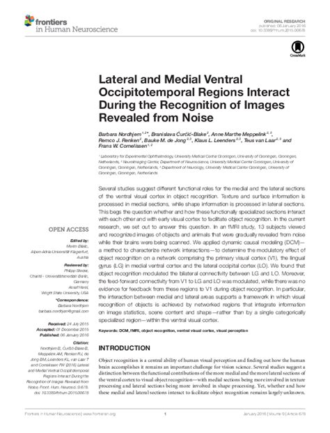 Pdf Lateral And Medial Ventral Occipitotemporal Regions Interact