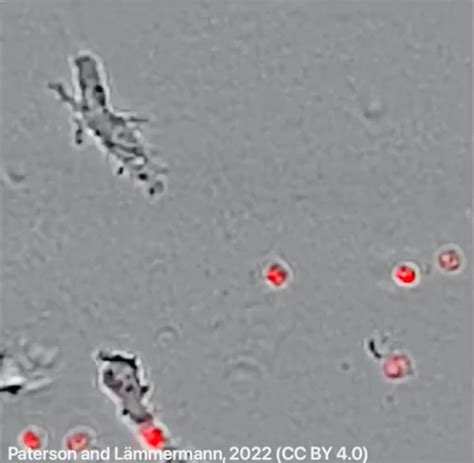 Silvina Adriana Perez Posted On Linkedin