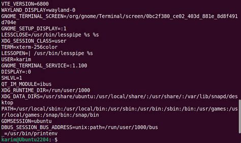 How To Set Environment Variables In Linux Greenwebpage Community