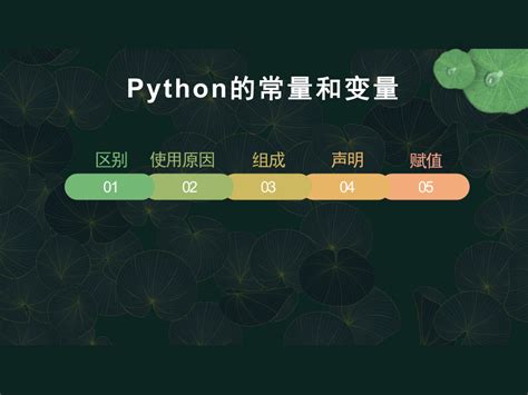 4 1 1 Python的常量与变量 课件 共32张PPT 20232024学年高中信息技术粤教版2019必修1 21世纪教育网 二一教育