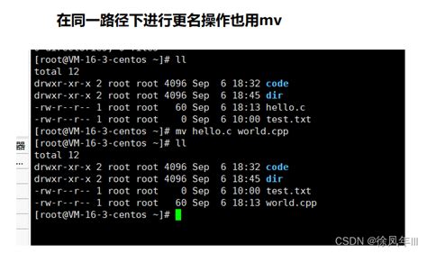 linux基础命令概览：目录操作、文件管理与文本处理 csdn博客