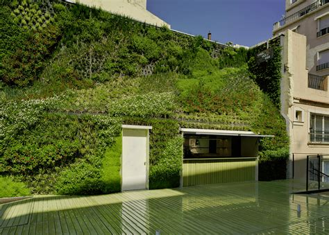 生态化垂直绿化墙体西班牙绿化墙咖啡厅古老庄重富有神圣色彩的植物墙