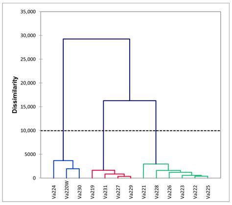 Morphological And Genetic Characterization Of Maize Landraces Adapted To Marginal Hills In North