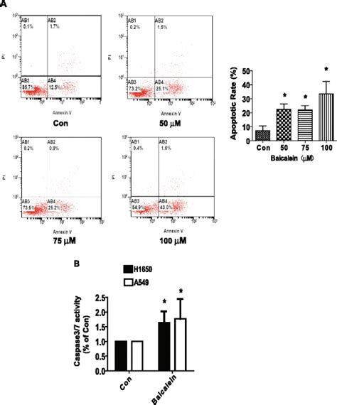 Baicalein Increases The Expression And Reciprocal Interplay Of Runx3 And Foxo3a Through