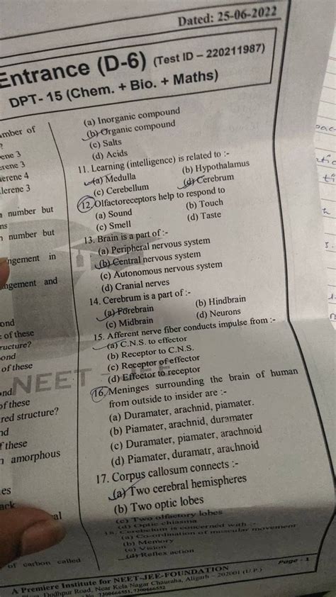 Afferent Nerve Fiber Conducts Impulse From Filo