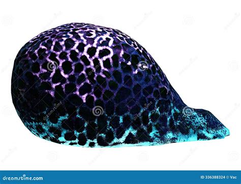 3d Rendering Brain Coral On White Stock Illustration Illustration Of