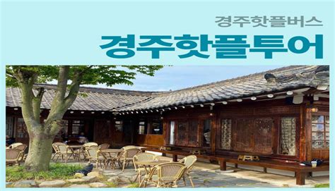 경주 핫플버스 핫플 투어