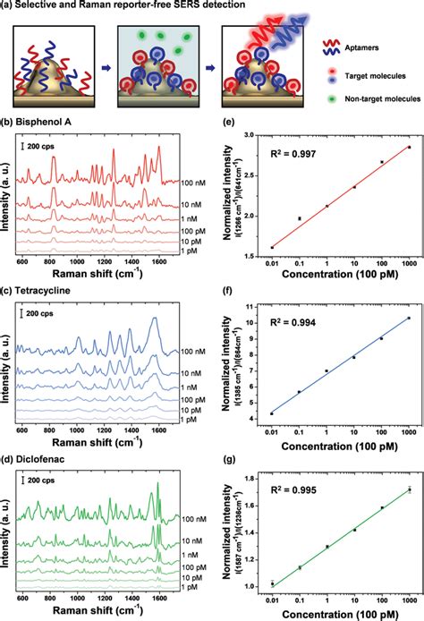 Selective And Raman Reporter‐free Sers Detection Via Apt‐aungs A Download Scientific Diagram