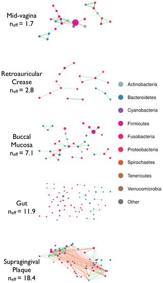 Inferring Correlation Networks From Genomic Survey Data