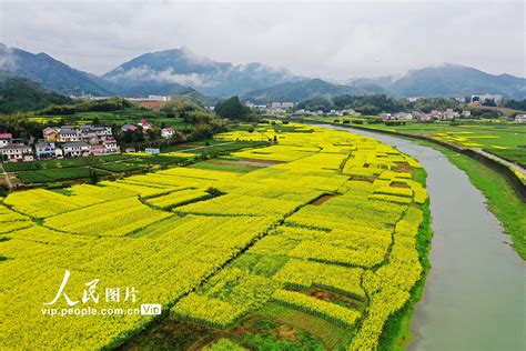 春到山村4 图片频道 人民网