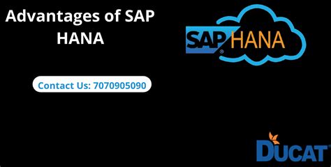 Advantages And Disadvantages Of Sap Hana