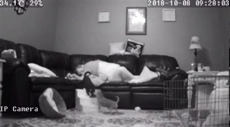 Free Ip Camera Porn Videos XHamster Free Ip Camera Porn Videos XHamster