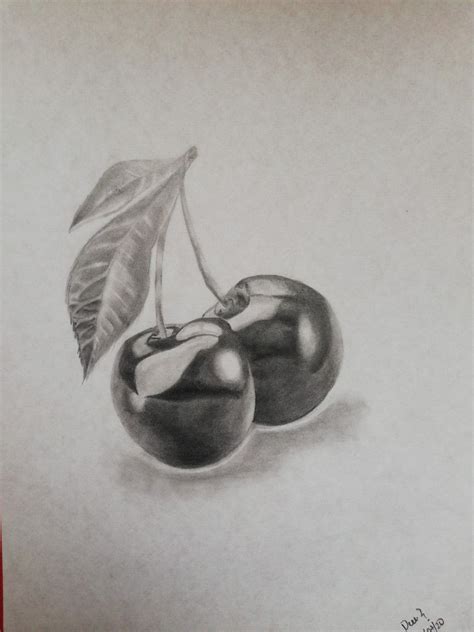 Cerezas a lápiz Bodegon lapiz Trabajos de arte Inspo de arte