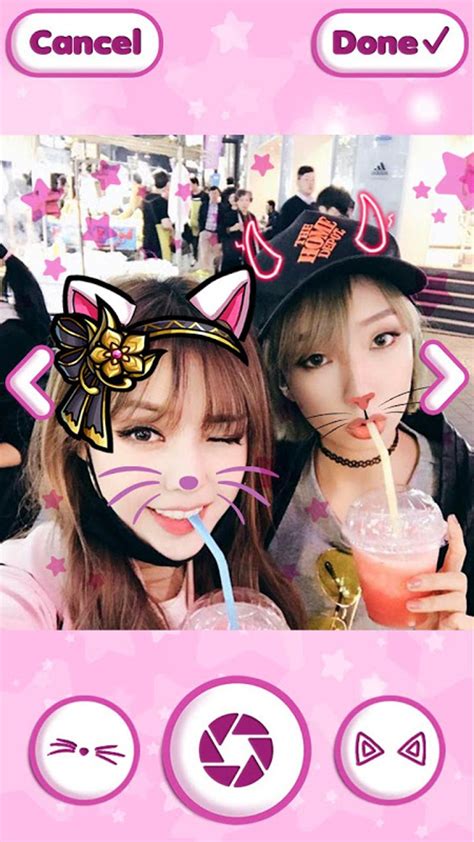 Cat Face Camera Selfie Apk For Android Download