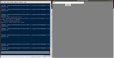 Python Tkinter Entry Returns Blank When Called From Another Script