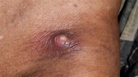 Astounding Facts About Tori Black Facts Net