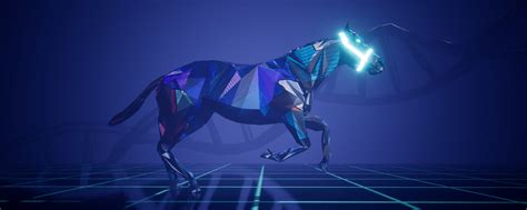 Zed Run Breeding Guide Vacationglop