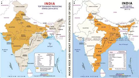 Rice Wheat Cropping System Its Prevalence And Its Presentation Pptx