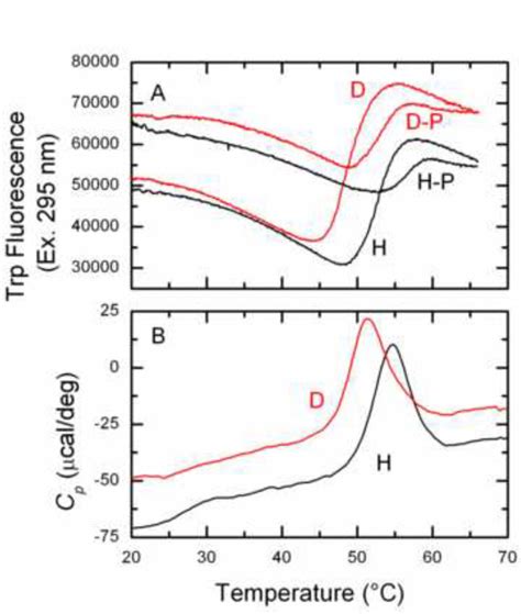 Thermal Unfolding Of Ei Ntr Panel A Thermally Induced Changes In Download Scientific Diagram