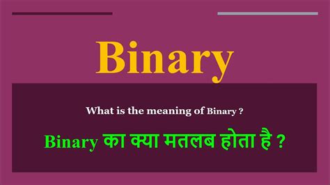 binary meaning in hindi binary ka kya matlab hota hai daily use