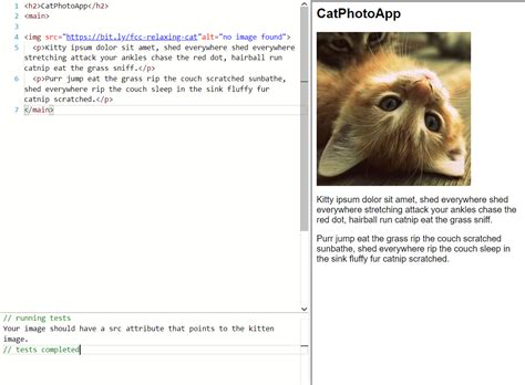 Add Images To Your Website Please Help Tt Html Css The Freecodecamp Forum