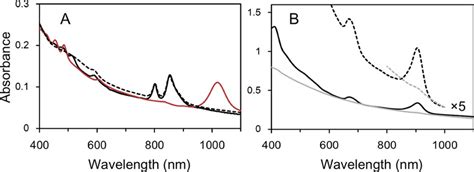 Electronic Absorption Spectra Of R Sphaeroides B Viridis And The