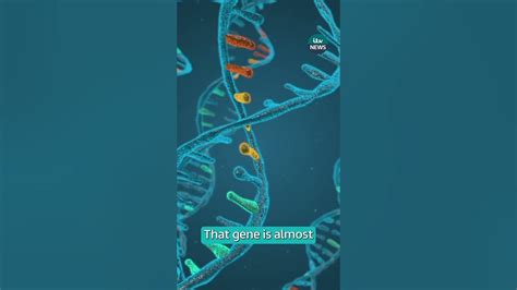 How Will The World Athletics Sex Test Work Itvnews Youtube