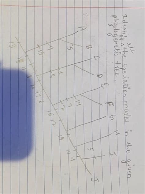Solved Identify 1 The Speciation Modes In The Given