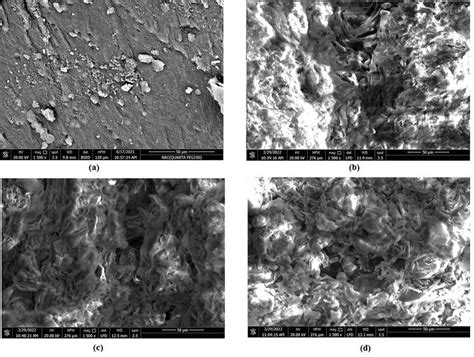 Sem Micrographs Of A Cs Control B Cst C Cstc1 And D Cstc2