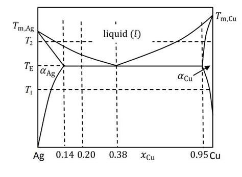 Solved The AgCu Binary Phase Diagram Is Schematically Chegg