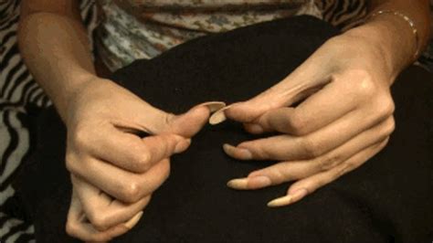 clicking nails clear lina long nails clips4sale