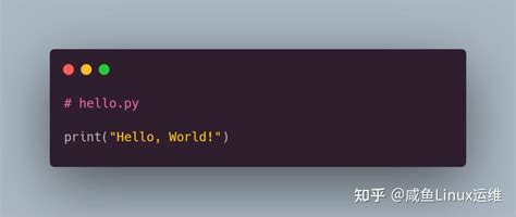 运行 Python 脚本代码的几种方式 知乎