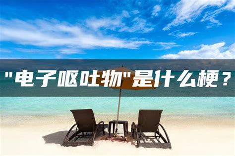 电子呕吐物是什么梗 布丁导航网