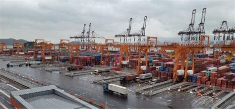 부산항 신항 6부두 개장국내 최초 자동안벽크레인 장착 나무뉴스