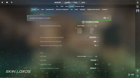 How To Change Your CS2 FOV SkinLords
