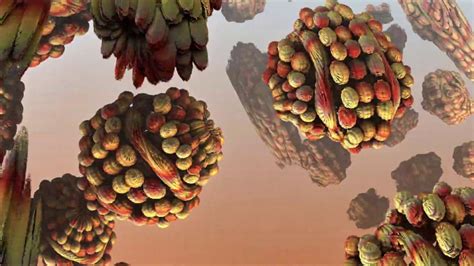 Факты путешествие фракталы мерцание в стиле диско мир война бесконечности Фрактал Мандельброта