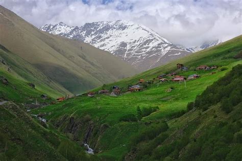 ჯუთა ჭაუხი ყაზბეგი 0 Gel Wild Georgia