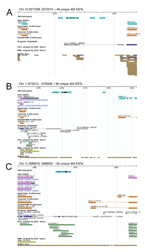 The Intergenic Region On Chromosomes With Unique 454 Expressed Sequence Download Scientific